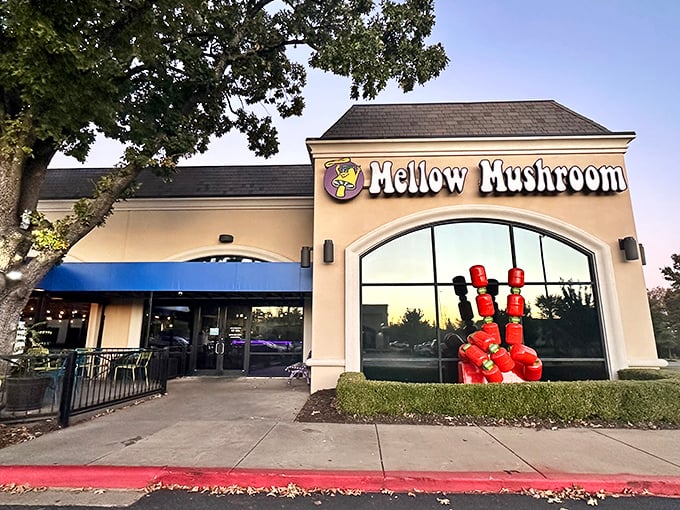 Mellow Mushroom's whimsical facade is like a pizza funhouse where serious flavor meets playful presentation.