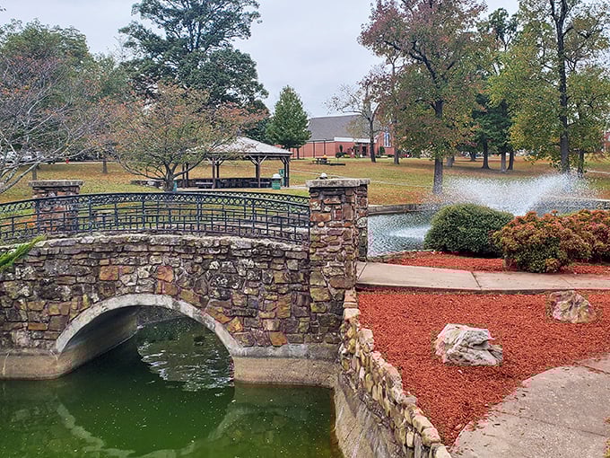 A scenic bridge frames each Mena morning, showing retirement comfort doesn’t have to be expensive.