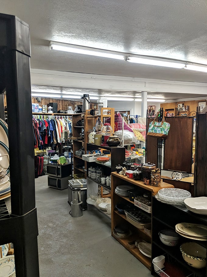 Every shelf tells a story in this coastal gem. The dishes might be ordinary, but the hunting experience is anything but!