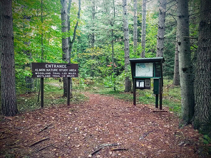 Almon Nature Study Area invites exploration with its well-marked trails and pristine woodland setting. Nature therapy at its most accessible.