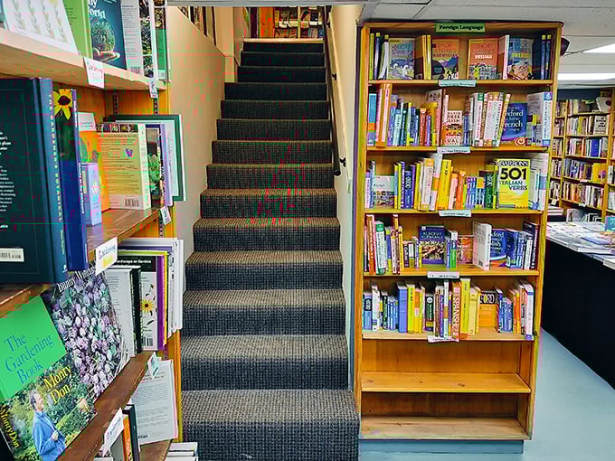 The staircase to literary heaven&mdash;or at least the second floor. Every step brings you closer to undiscovered stories.