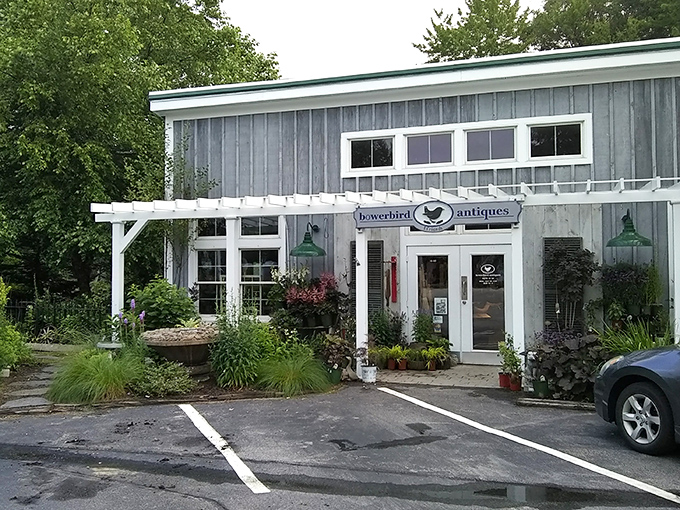 Bowerbird & Friends' charming exterior promises treasures within. Plants and antiques coexist in this shopper's paradise of curated curiosities.