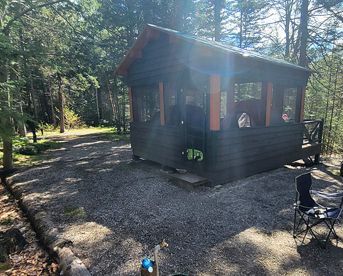 Cabin in the woods without the horror movie plot. Just you, some chairs, and the therapeutic sound of absolutely no emails arriving.