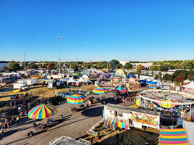 The Carolina Classic Fair brings technicolor joy each autumn, where funnel cakes, Ferris wheels, and family traditions create memories that outlast the sugar rush.