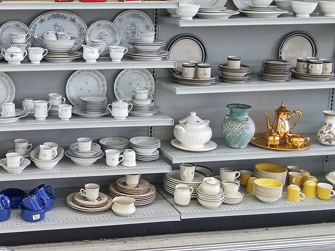 Fine china and everyday dishes coexist peacefully. That gold-rimmed teapot might have served Earl Grey at Downtown Abbey in another life.