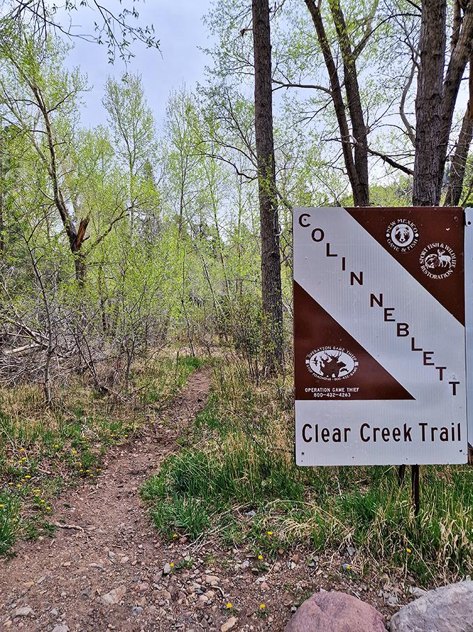 The Clear Creek Trail sign doesn't just mark a path &ndash; it promises adventures that no virtual reality headset could ever deliver.