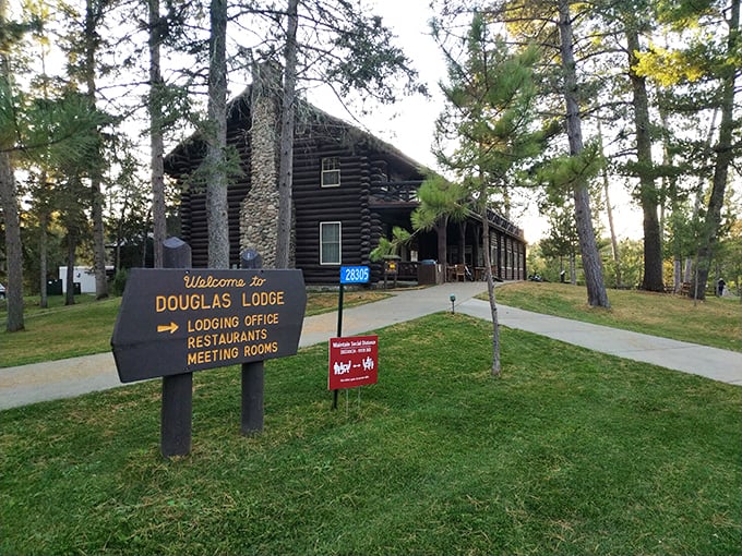 Douglas Lodge, where rustic luxury meets wilderness—the kind of place Teddy Roosevelt would give two enthusiastic thumbs up.