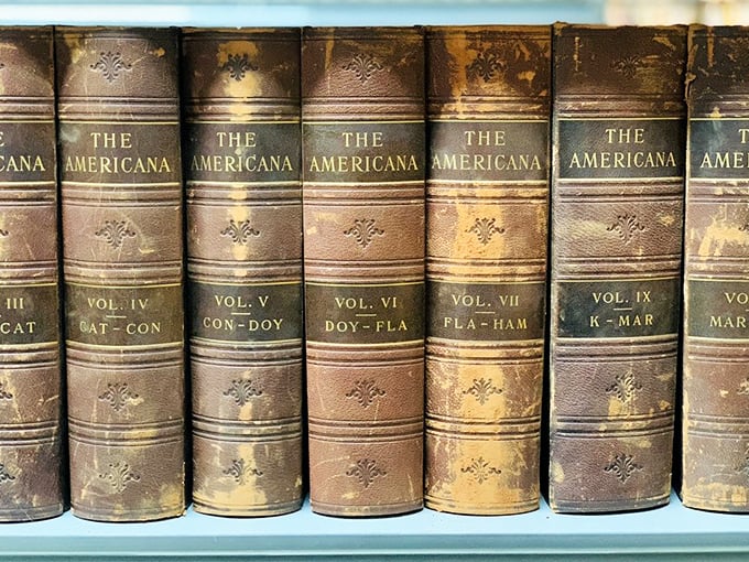 The stately Encyclopedia Americana set stands like scholarly soldiers, their spines telling the alphabetical story of human knowledge from A to Z.