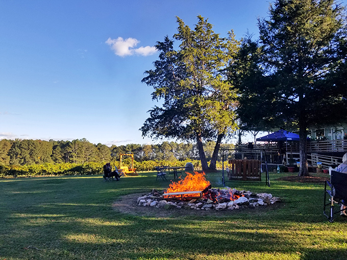 Nothing says "countryside retreat" quite like a roaring bonfire as the sun sets. S'mores taste better when they're made in a setting this picturesque.