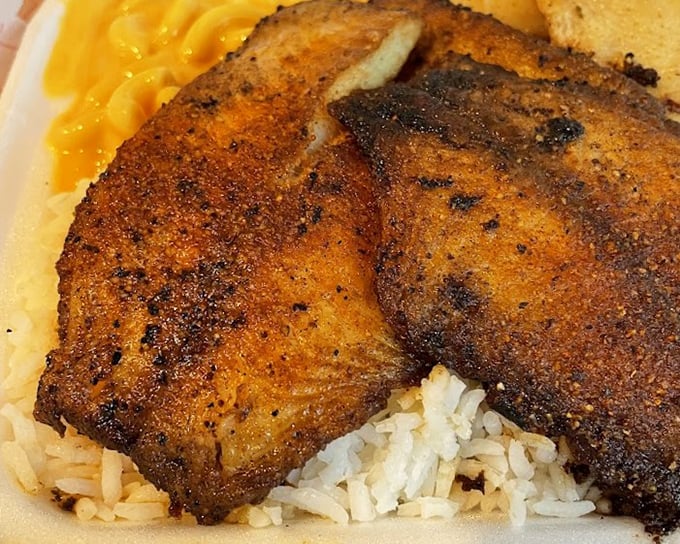 Blackened fish that would make New Orleans proud. The contrast between that spice-darkened exterior and the tender white flesh is culinary poetry.