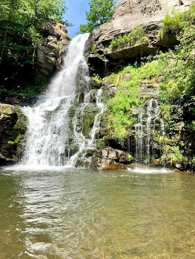 Hidden waterfalls near Carbondale offer natural splendor and swimming holes that beat any resort pool &ndash; no membership required.