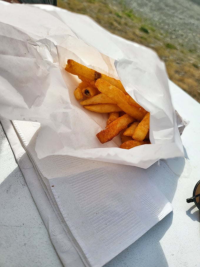 French fries so perfectly golden, they deserve their own spot on the Alaskan flag. Simple, crispy, and utterly irresistible.