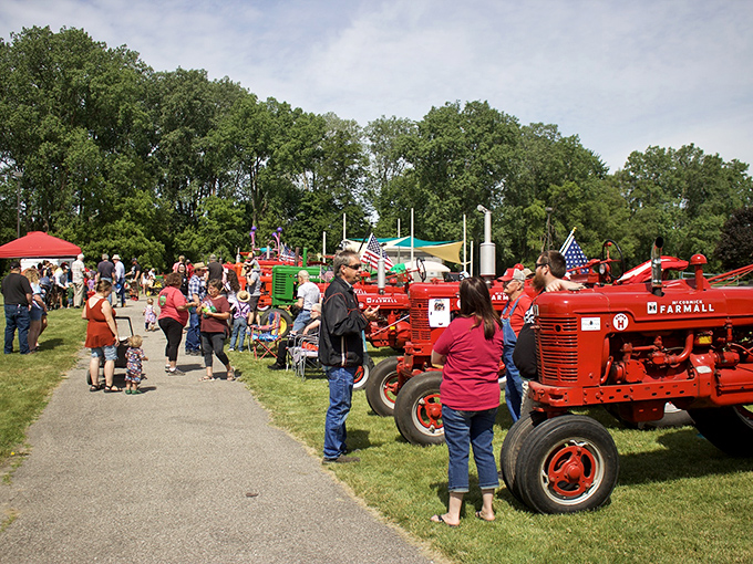 Vintage tractors line up like mechanical celebrities at a local festival, drawing crowds who appreciate horsepower that predates electronic fuel injection.