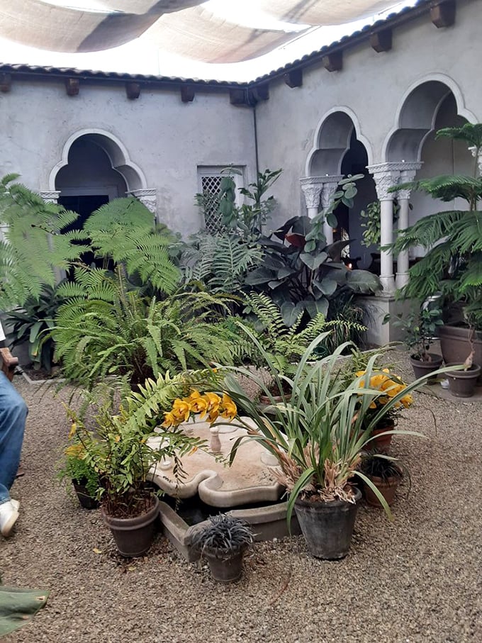 Lush ferns and tropical plants fill this hidden courtyard garden, a secret oasis you never expected to discover.