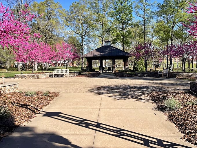 Spring explodes in technicolor glory at Grogan Park. Those redbud trees don't just bloom&mdash;they throw a pink party and everyone's invited.