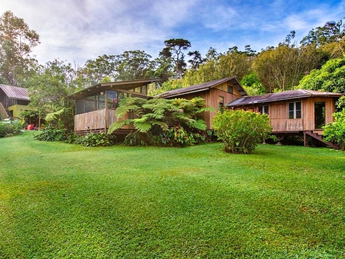 Wooden cottages nestled in nature's embrace. These accommodations at Hamakua Sanctuary offer the rare chance to wake up to birdsong instead of phone notifications.