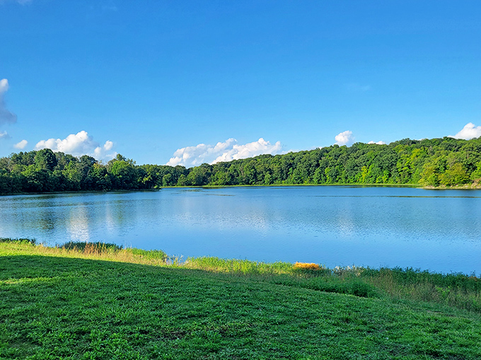 Hargus Lake on a perfect summer day, where the water mirrors the sky so precisely you might forget which way is up.