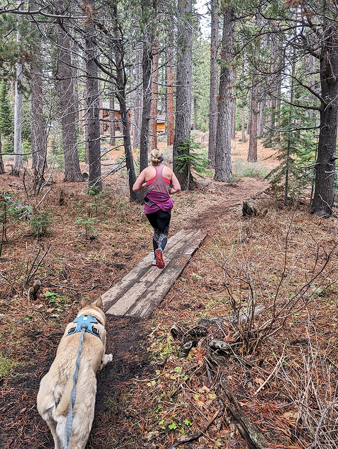 Runner and faithful companion exploring forest trails. One's tracking steps, the other's tracking squirrels &ndash; both living their best lives.