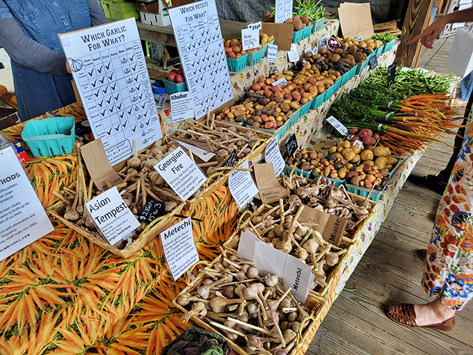 The farmers market overflows with fresh produce that actually tastes like something, arranged more beautifully than most restaurant presentations.