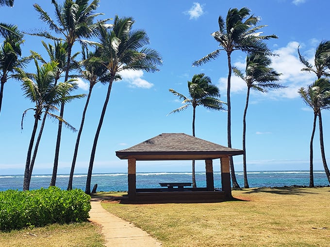 Kapaa Beach Park's gazebo offers front-row seats to nature's greatest show: the Pacific Ocean doing its thing while palm trees provide the percussion.