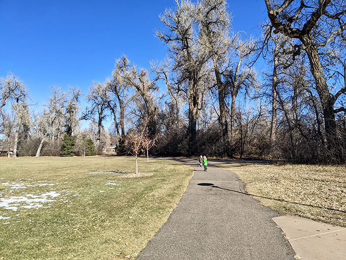 Ketring Park's winding paths invite contemplative strolls beneath winter-bare trees, where nature's architecture reveals itself in stark beauty.