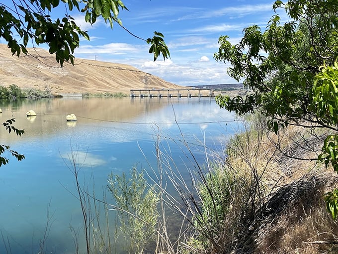 Lower Salmon Falls Park offers the kind of waterfront picnic spots that make fast food drive-thrus seem like punishment by comparison.