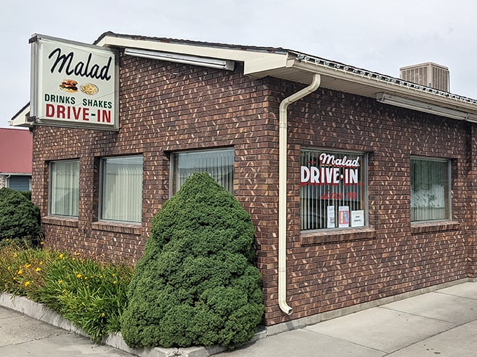 The Malad Drive-In isn't retro by design—it's authentic by survival, serving shakes that require actual arm strength to drink through a straw.