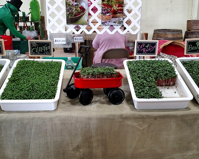 Microgreens and sprouts offer concentrated nutrition and flavor&mdash;proof that in Vermont, good things come in small, verdant packages.