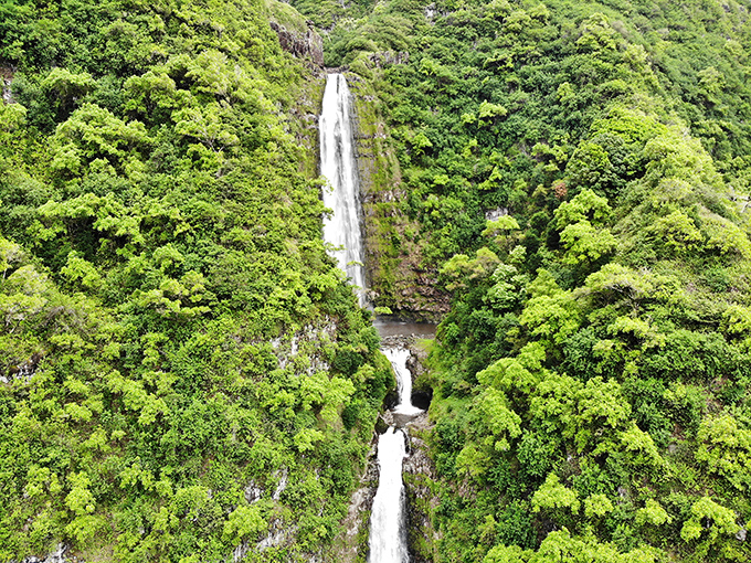Moa'ula Falls cascades through Molokai's lush interior, a hidden reward for those willing to venture beyond town limits.