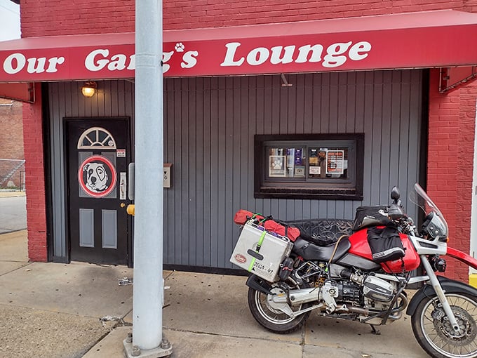 Our Gang's Lounge offers unpretentious local flavor where motorcycles park outside and stories flow freely within.