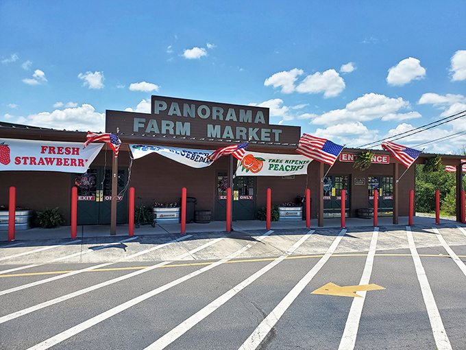 Panorama Orchards welcomes visitors with fresh produce that actually tastes like it came from dirt, not a factory.