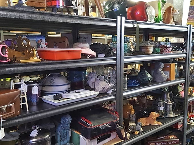 Every shelf a miniature museum where ordinary objects from yesterday wait patiently for their second act in someone's home.