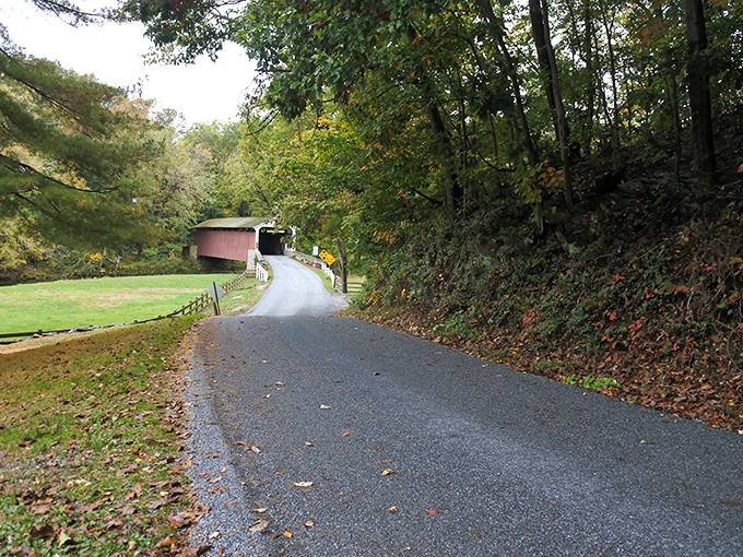 The winding country road leading to the bridge feels like the opening sequence of every great road trip movie ever made.