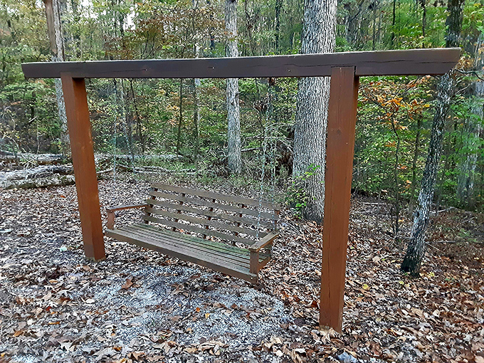 Forest swing seat &ndash; nature's waiting room where you can pause, breathe deeply, and remember what really matters in life.