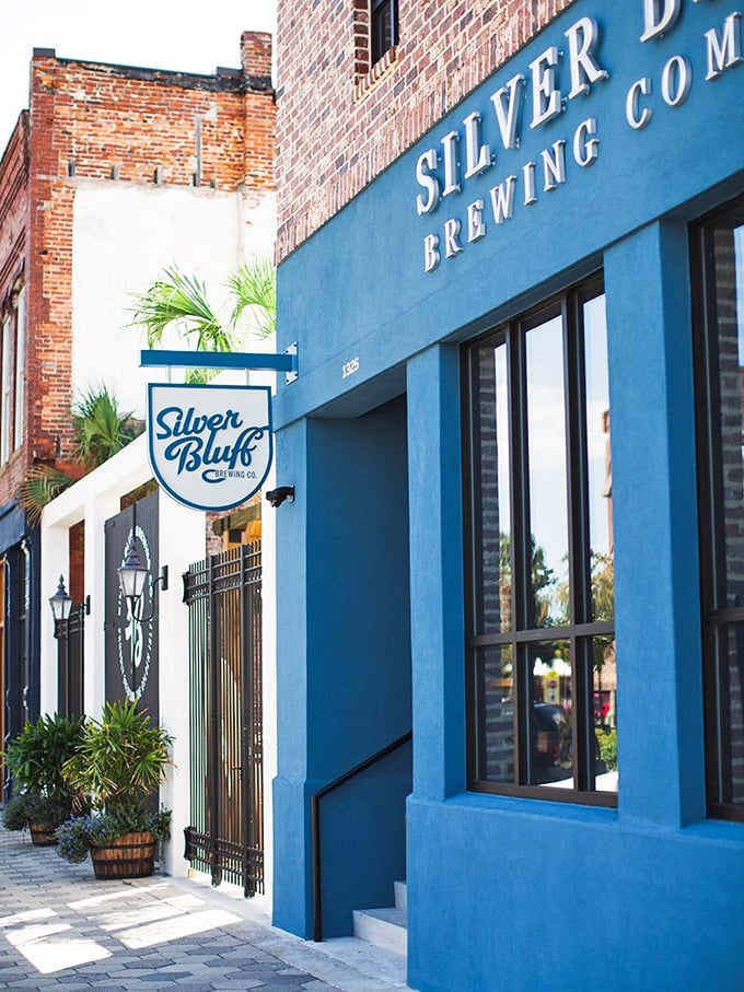 Silver Bluff Brewing Company proves that retirement and craft beer appreciation can coexist beautifully in Brunswick's revitalized downtown.