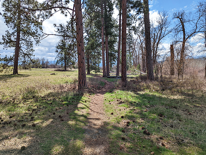 Not all who wander these paths are lost &ndash; some are just finding parts of themselves they forgot existed.