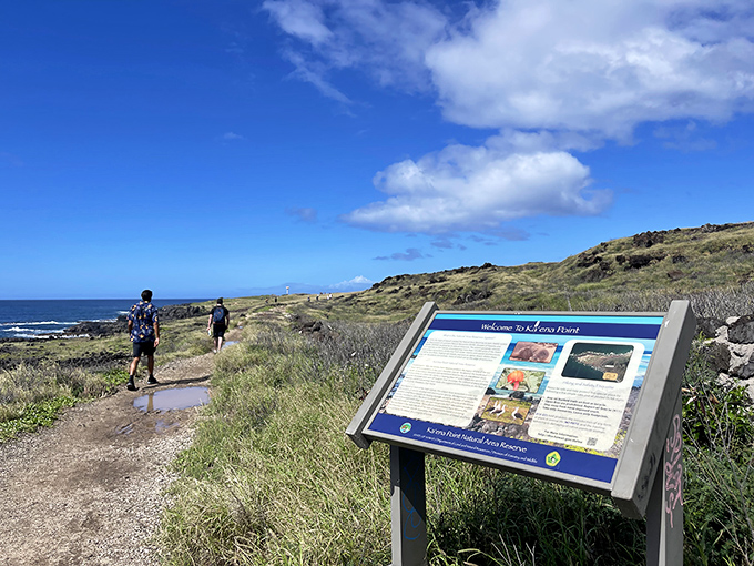 Follow the informative trail markers and you'll be rewarded with views that no smartphone camera can truly capture.