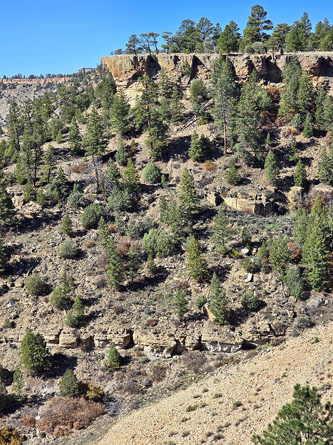 Nature's skyscrapers creating their own skyline&mdash;no traffic, no noise, just geological poetry written in stone and pine.