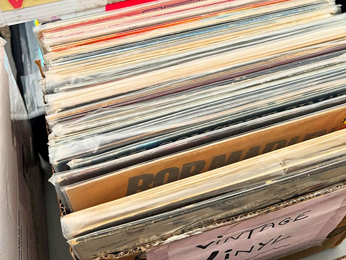 Vinyl hunters flip through history, each record sleeve a doorway to someone's musical coming-of-age story.