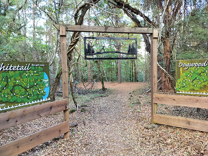 The disc golf course adds another activity to your weekend, because apparently just relaxing isn't enough for some people.