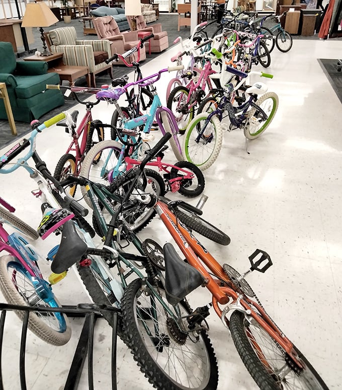 A colorful battalion of bicycles stands ready for new adventures. From first-time riders to weekend warriors, these wheels are ready to roll again.