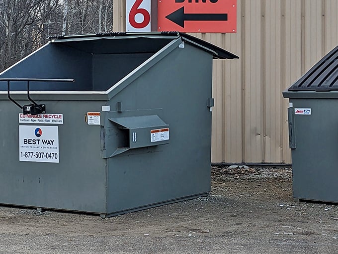 Industrial-strength dumpsters outside belie the carefully curated chaos within. One store's trash truly becomes another shopper's treasure.