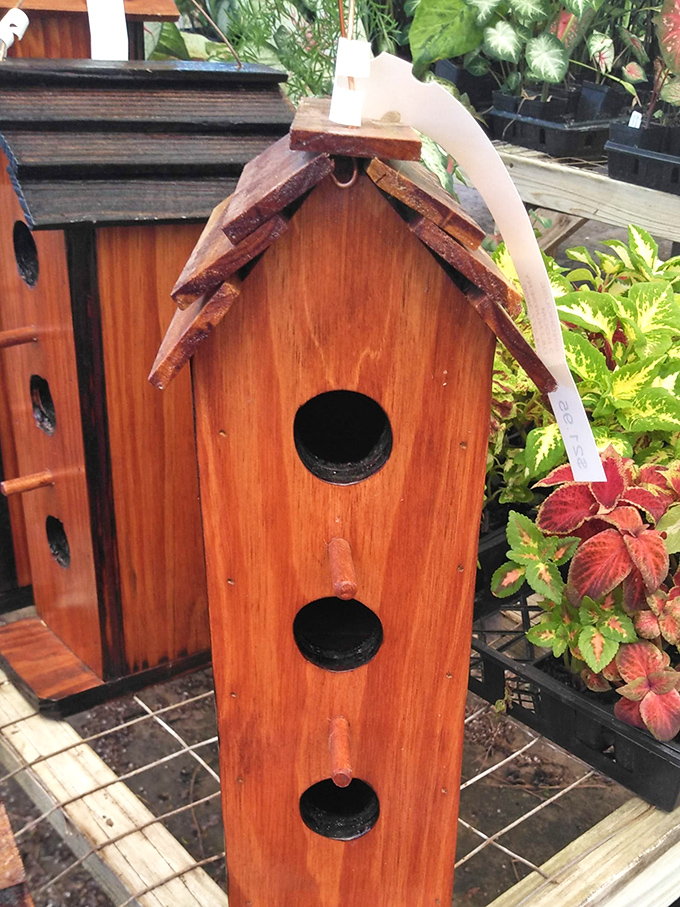 Home tweet home! This handcrafted birdhouse isn't just wood and nails&mdash;it's an avian palace that would make any cardinal feel like royalty.