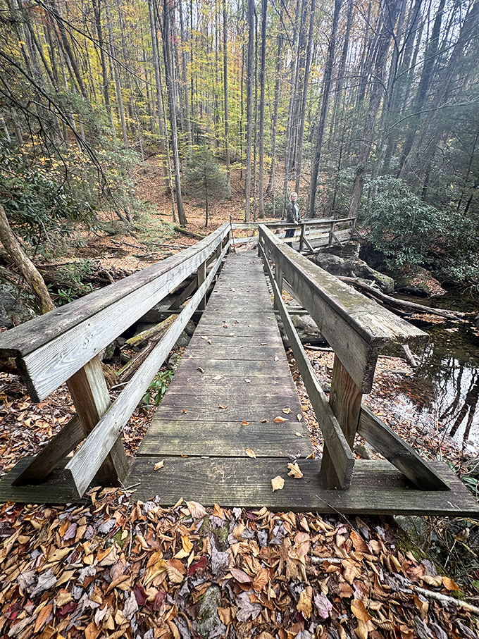 This wooden bridge doesn't just connect two pieces of land&mdash;it connects you to adventures waiting on the other side.