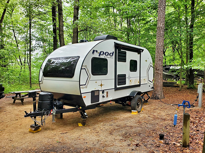 Modern camping means your temporary home has better amenities than your first apartment, and nobody's complaining about the upgrade.