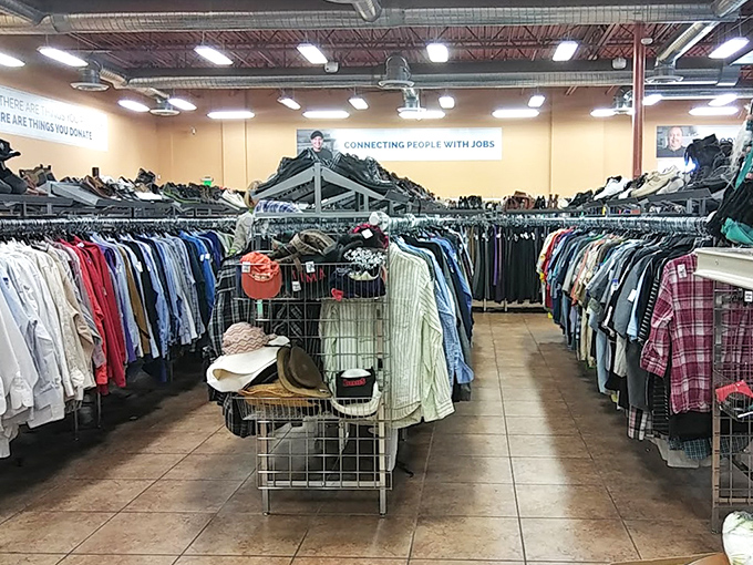The clothing forest, where racks stretch toward the horizon. Somewhere in this textile wilderness hides the perfect vintage Hawaiian shirt.