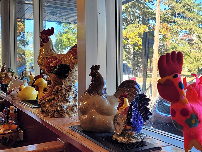 The rooster collection along the windows isn't just decor &ndash; it's a quirky guardian committee overseeing breakfast proceedings.