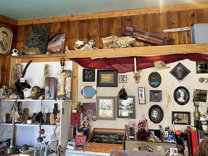 Every inch of wall space hosts curiosities, from preserved specimens to vintage photographs. Marie Kondo would have a panic attack here.