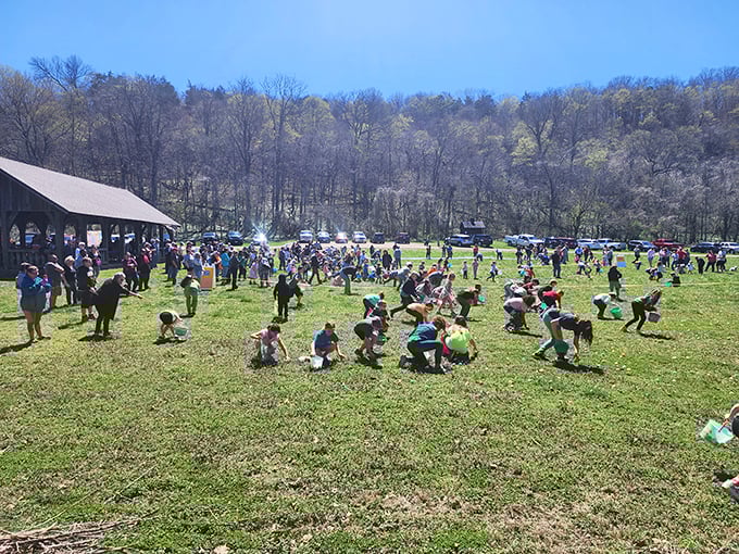 The park's open field transforms into a playground of joy during special events, where families create memories more lasting than any souvenir t-shirt could ever be.