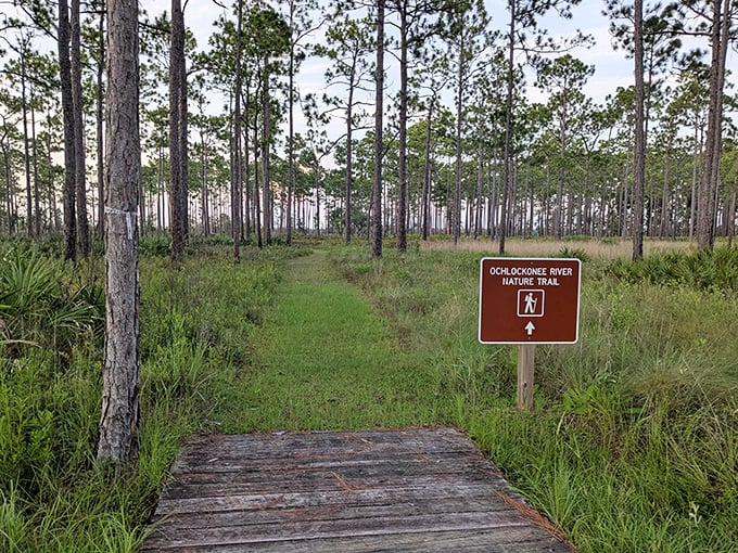The trailhead to tranquility. This simple wooden sign marks the beginning of memories waiting to be made in Florida's natural playground.